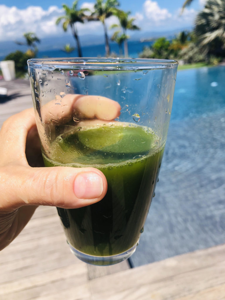 Comment préparer un jus de feuilles d'arbre à fruits à pain ? • Feel SO ...